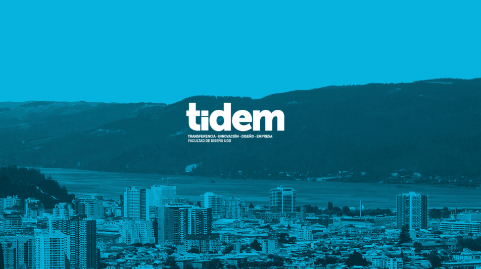 Fundamentos del programa - Programa TIDEM